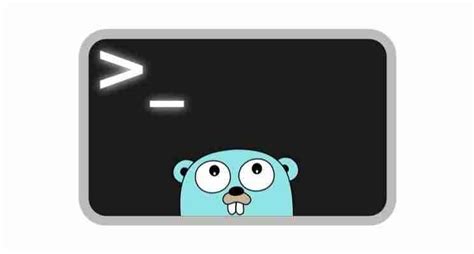 build a simple terminal application in go a step by step guide for beginners by kaifmunshi