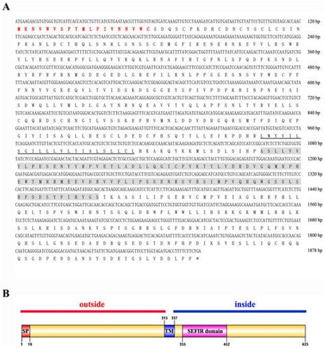 Biomolecules Free Full Text Identification Of Crustacean Female Sex