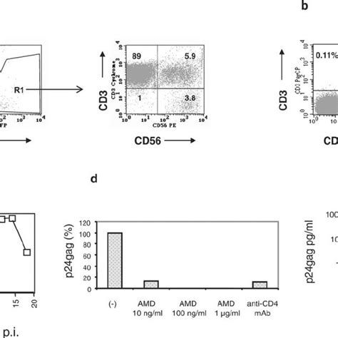 In Vitro Infection Of Primary Nk Cells A Primary Pbmc Were