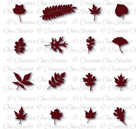 Leaves Leaf Designs Tree Leaves SVG DXF Eps Studio3 Pdf Png Ai Silhouette Cameo