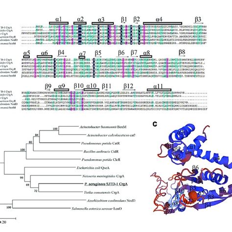 Multiple Sequences Alignment Evolutionary Analysis And Structure