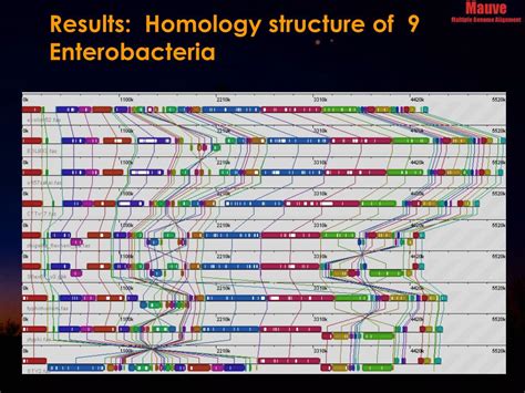 Ppt Mauve Methods For Multiple Genome Alignment Powerpoint Presentation Id 5619222