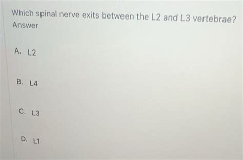 Solved Which Spinal Nerve Exits Between The L2 And L3 Vertebrae