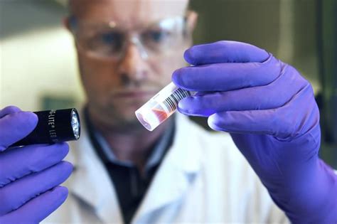 Tratamiento Innovador Eleva Supervivencia De Pacientes Con Cáncer
