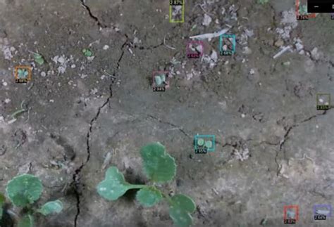 Detectron2 Video Inferencing Shows Category Ids Instead Of Class Names