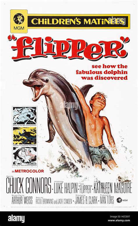 FLIPPER US Poster Art 1963 Stock Photo Alamy