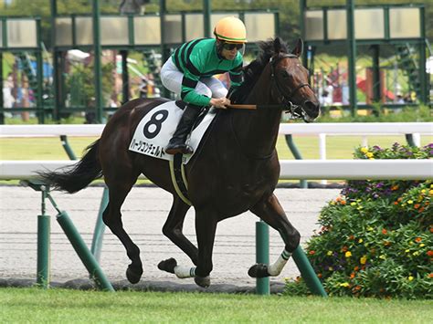 【神戸新聞杯想定騎手】ハーツコンチェルトは松山弘平騎手、ファントムシーフは武豊騎手 競馬ニュース Netkeiba