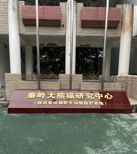 体验听觉盛宴，助力秦岭大熊猫研究中心会议音频建设！ 中音讯谷科技有限公司