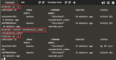Docker Commands Cheat Sheet Syntax And Examples Included