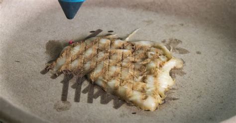 Lasers Could Bring The Precision Of 3d Printing To The Cooking Of Food