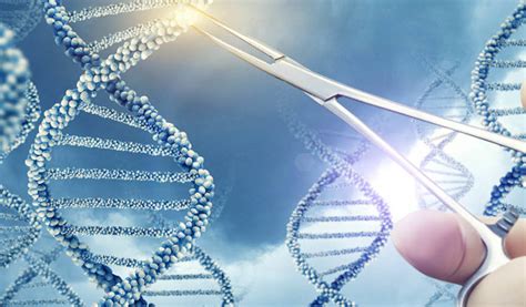 Bionano Genomics Optical Genome Mapping Imperial College London Events Imperial College London