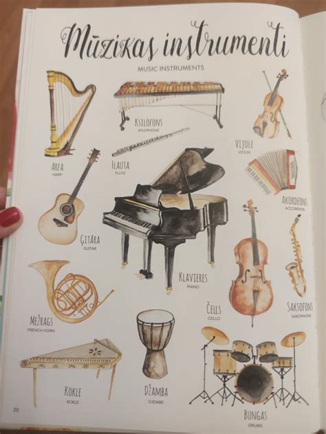 Музыкальные инструменты