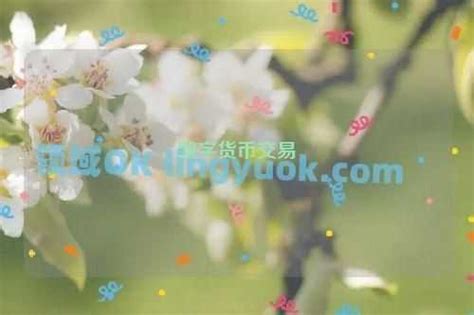 数字货币交易 领域ok