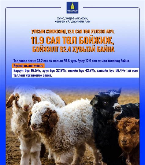 Улсын хэмжээнд 11 9 сая төл бойжиж байна