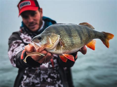 Dart Jig Vmc Hooks