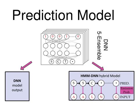 PPT Predicting Signal Peptides Using Deep Neural Networks PowerPoint Presentation ID
