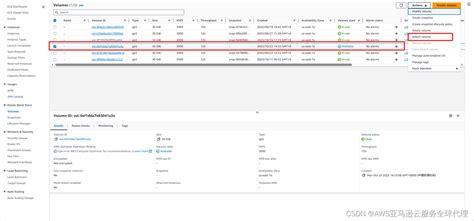 Aws Ec2 Ebs扩容操作流程aws Ebs 扩容 Csdn博客