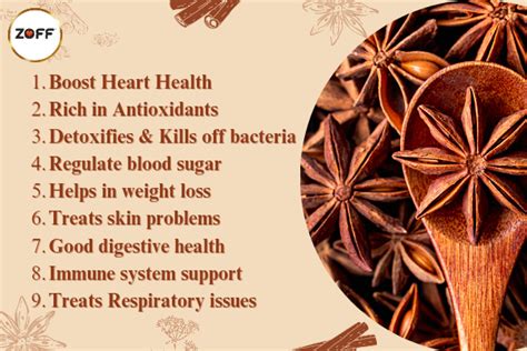 9 Wonderful Star Anise Benefits You Should Know About Zoff Foods