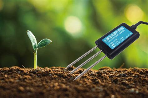 Integrating Soil Sensors For Enhanced Productivity