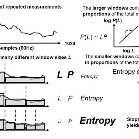 Schematic Of First Steps Of Multifractal Algorithm That Bin A Download Scientific Diagram