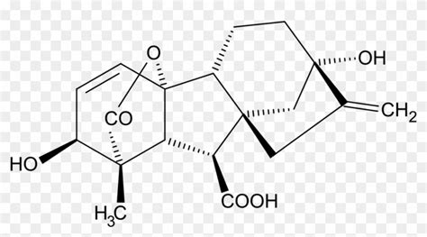 Download File Gibberellic Acid Svg Chemical Structure Of