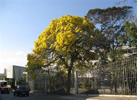 Fotos De Barbacena Cidade E Imagens Turismo Cultura Mix