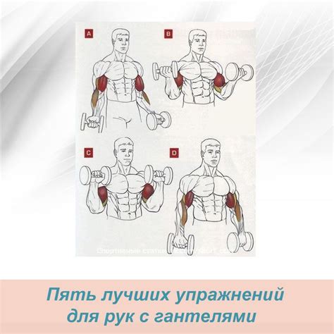 Вам потребуются только наборные гантели ну и конечно желание и