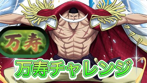 【万寿チャレンジ】永刻の万龍をエドワード・ニューゲート白ひげ編成で安定攻略！【パズドラ】 Youtube