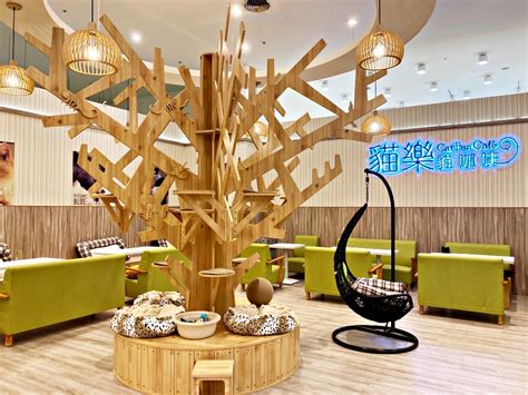 《貓咖啡》中和環球 貓樂貓咖啡 Cat Fun Cafe My Trip ‧ My Life