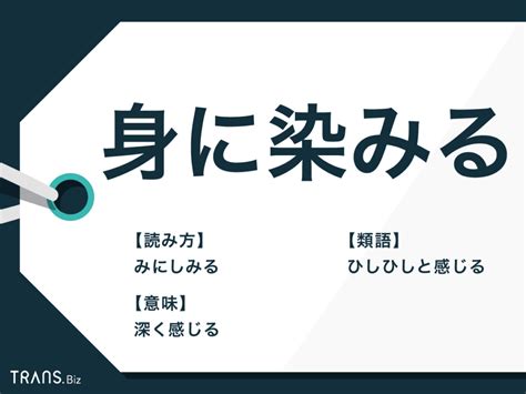 「身に染みる」とは？「沁みる」との意味の違いと使い方・短文も Transbiz
