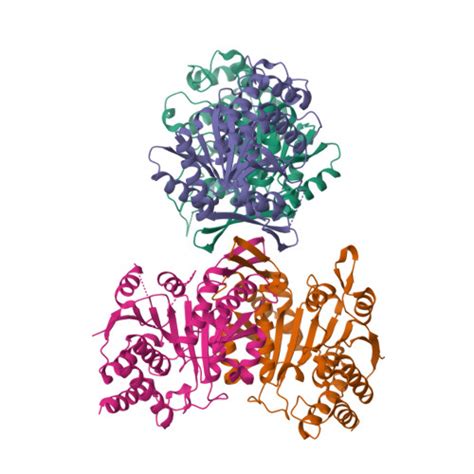 Rcsb Pdb 8grb Crystal Structure Of A Constitutively Active Mutant Of