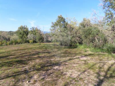 Quinta à venda em Penamacor Penamacor RE MAX Portugal