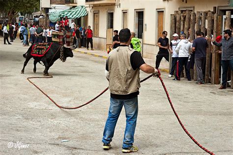 Círculo Cultural Taurino de Jaén En Beas de Segura por San Marcos