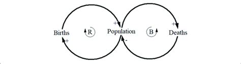 Casual Loop Diagrams Representing The Reinforcing Loop R Of Births