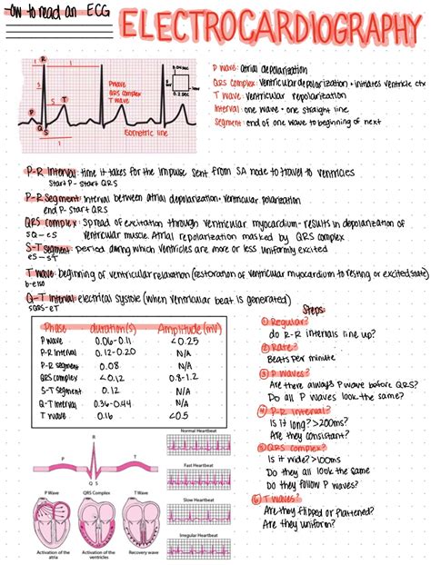 Electrocardiogram Reading