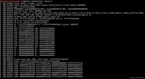 一条超级简单的故意让linux死机宕机的命令为什么echo C 会触发死机 Csdn博客