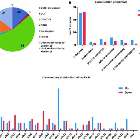 Distribution Of Aberrantly Expressed Long Non Coding Rnas Lncrnas In