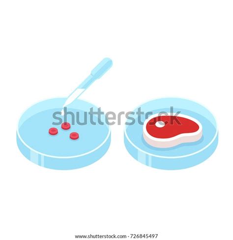 실험실에서 고기를 길렀어요체외고기 콘셉트에 셀 배양 스톡 벡터로열티 프리 726845497