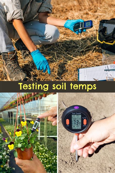 Soil Temperature An Important Garden Metric To Measure GardensAll