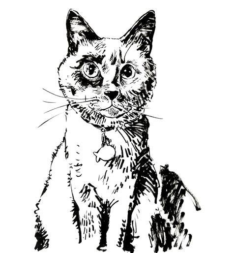 I Drew Max R Absentagony