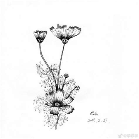 一組手繪花朵黑白插畫 每日頭條