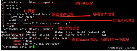 Docker之consul部署consul Docker Csdn博客 Docker之consul部署consul Docker Csdn博客