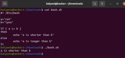 Bash Scripting Símbolos