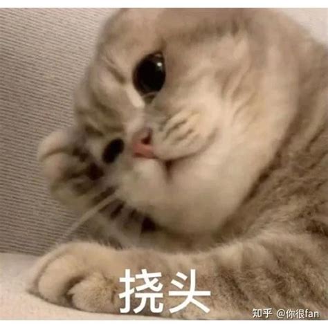 恋爱真的很难熬，不知道怎么走下去 知乎