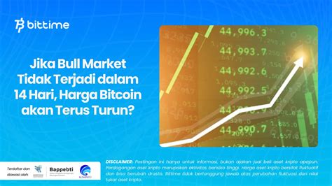 Jika Bull Market Tidak Terjadi Dalam 14 Hari Harga Bitcoin Akan Terus