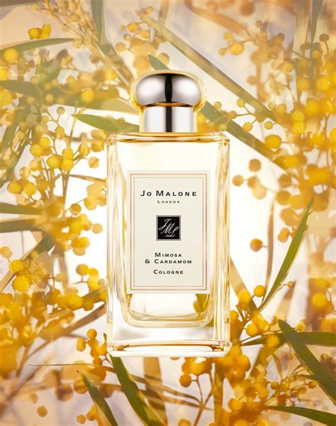 Jo Malone London Mimosa & Cardamom Cologne 100 ml | Beautylish