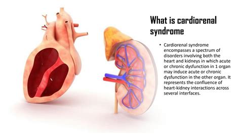 Solution Cardiorenal Syndrome Studypool