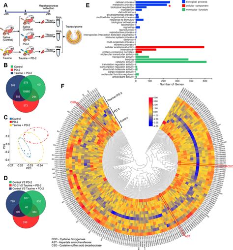 Analysis Of Genes Modulated By Taurine During Vibrio Infection A