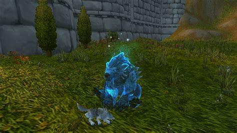 Glyph Of Stars Bug Made My Bear Become Spectral R Wow