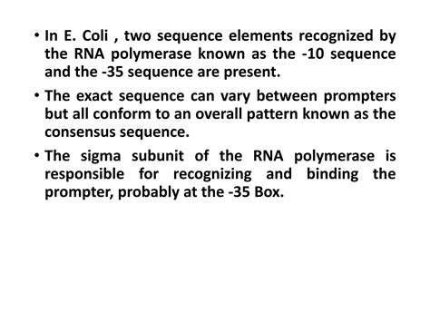 Rna Polymerase And Transcription In Prokaryotes Pptx